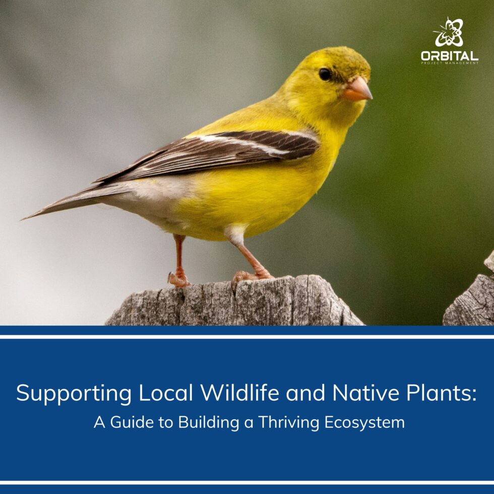Supporting Local Wildlife and Native Plants: A Guide to Building a ...